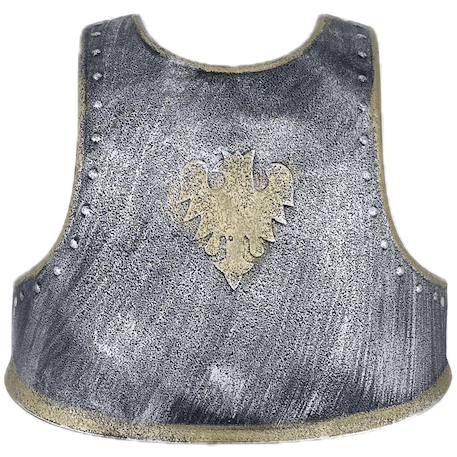 Déguisement chevalier garçon & fille : armure, épée & bouclier sur ...
