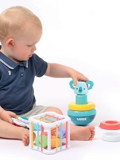 Ludi - tous les jeux et jouets pour bébé sur vertbaudet.fr